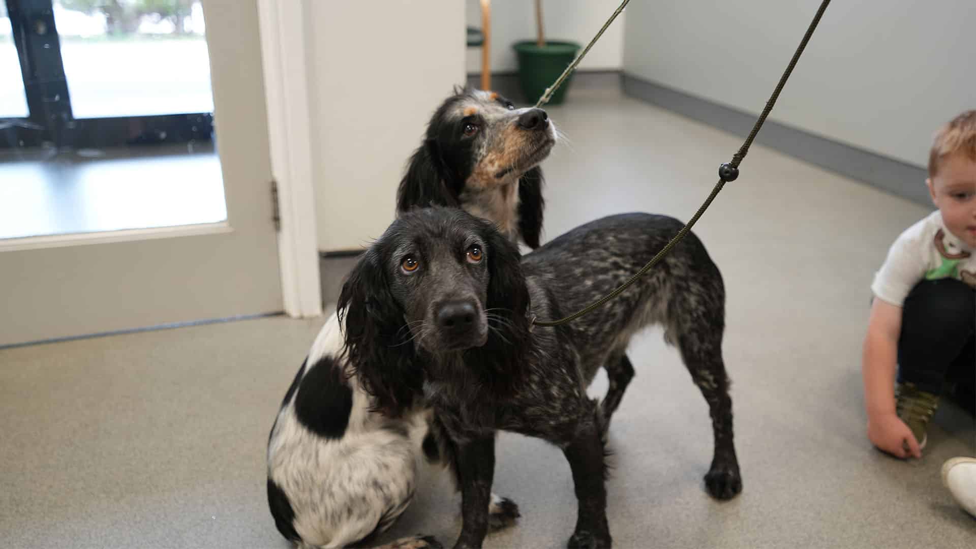 Renewable Energy Company - Solar Panel Installers Domestic & Commercial ...